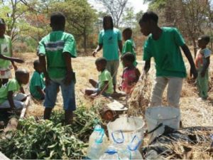 Composting – Nature Quest | Birdlife Zimbabwe